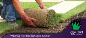 Watering New Sod | Watering Schedule & Chart For Each Season